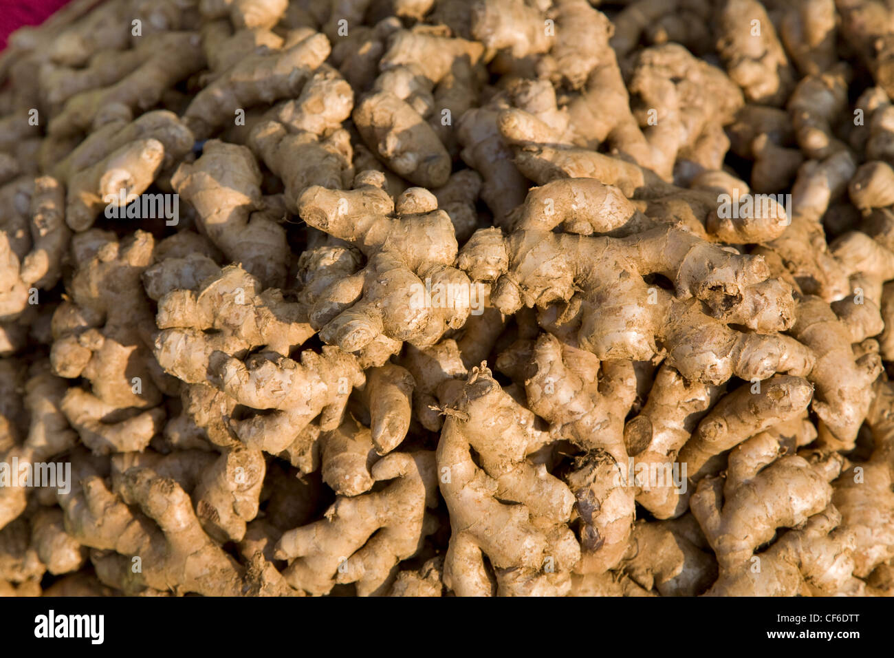 Indian ginger root hi-res stock photography and images - Alamy