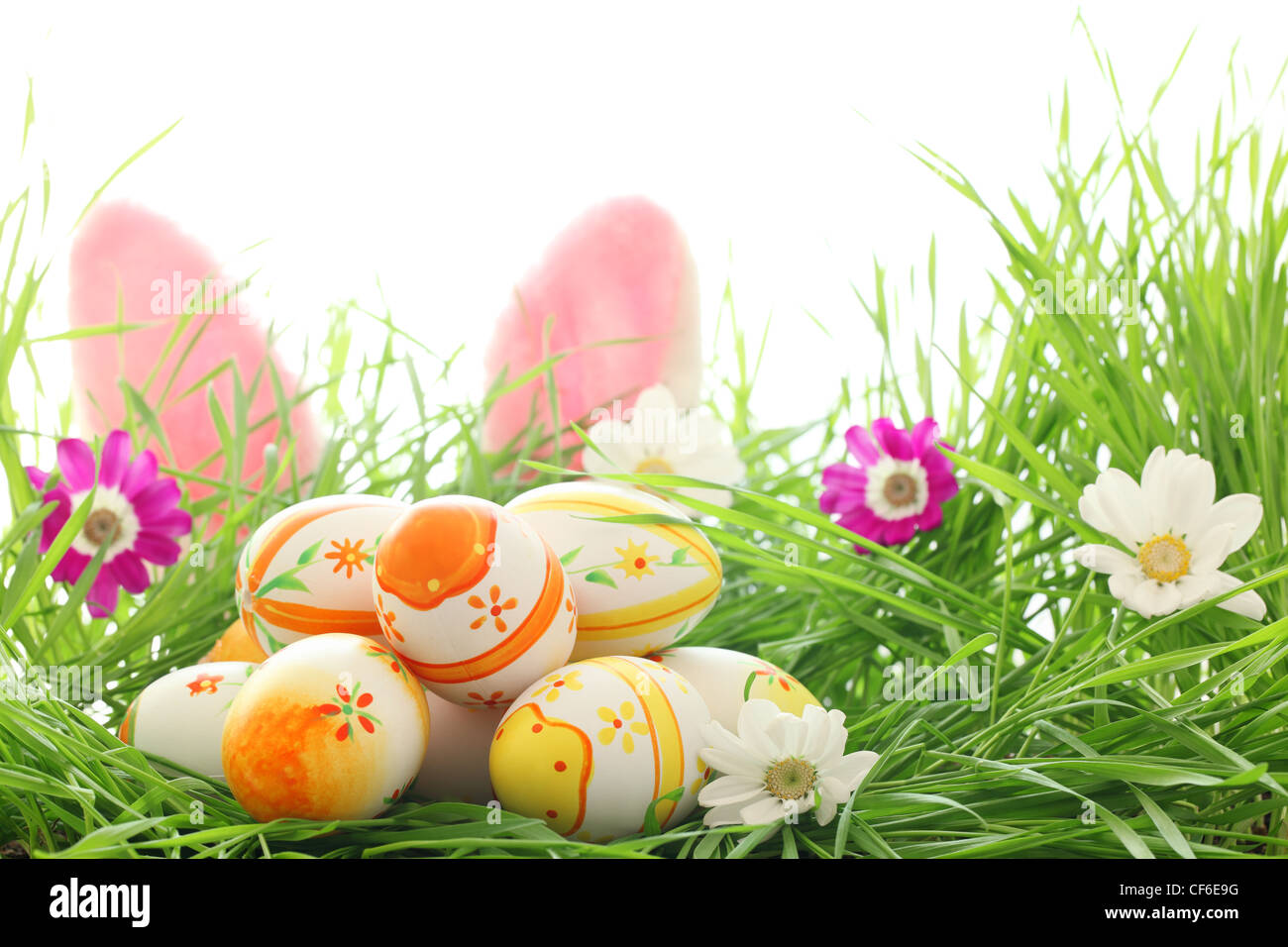Easter Eggs with Daisy Flower on Fresh Green Grass Stock Photo - Alamy
