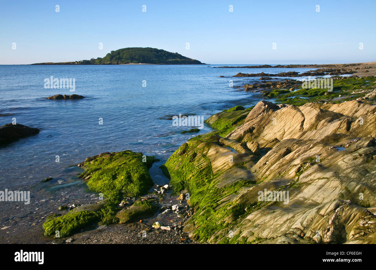 Looe Island with weather worn rocks in the foreground Stock Photo - Alamy