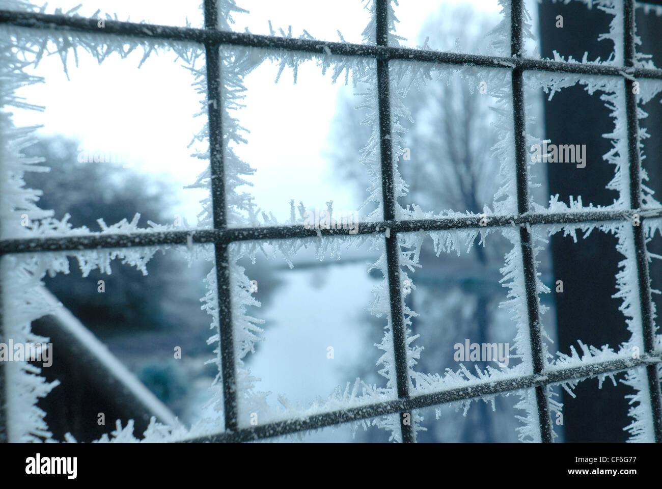 A wintry, pale, frosted squared metal mesh, covered in delicate icicles ...