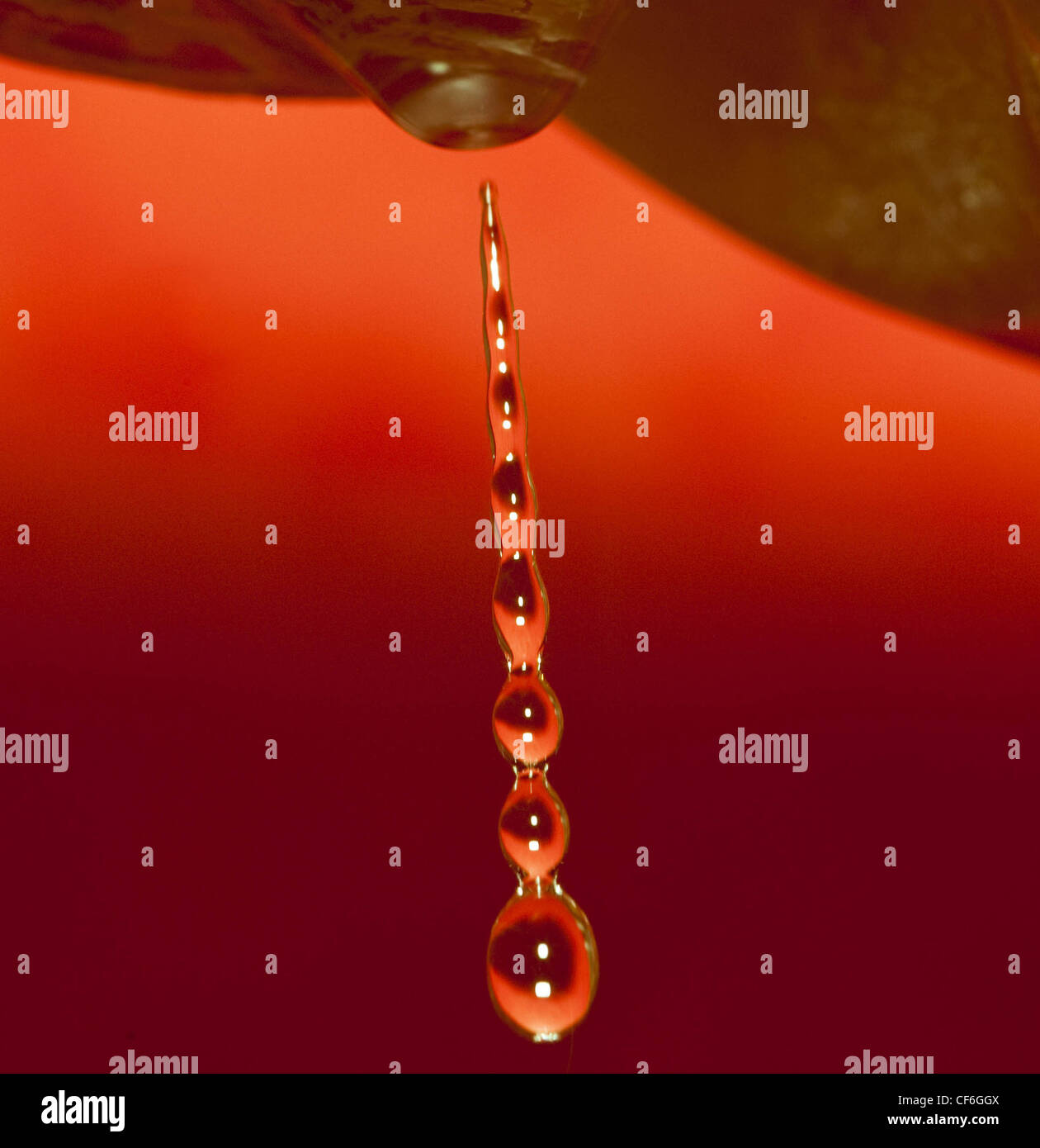 Concepts nature hi-res stock photography and images - Alamy