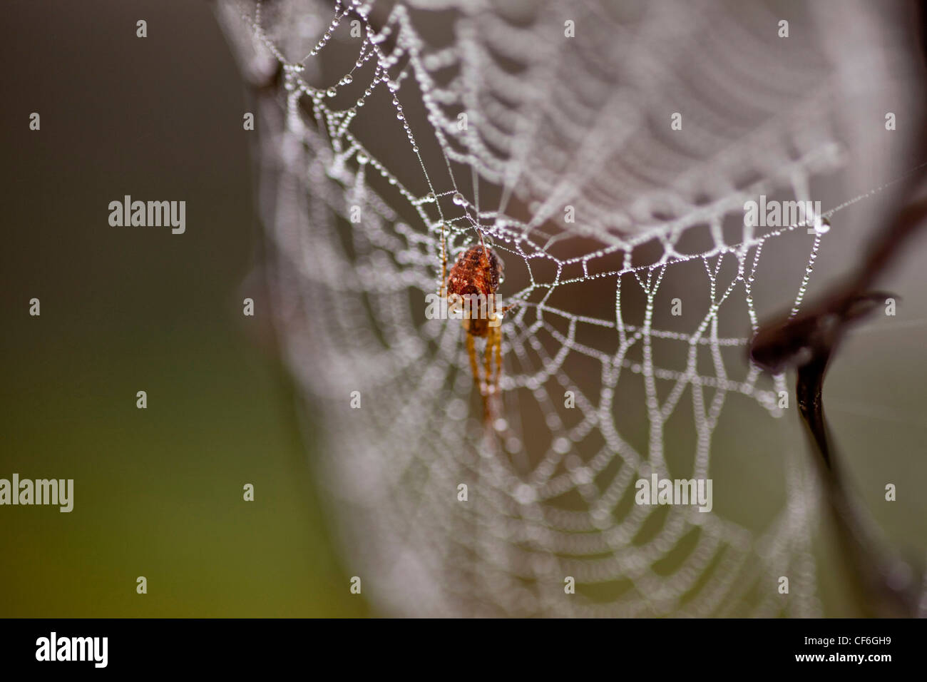 Concepts nature hi-res stock photography and images - Alamy