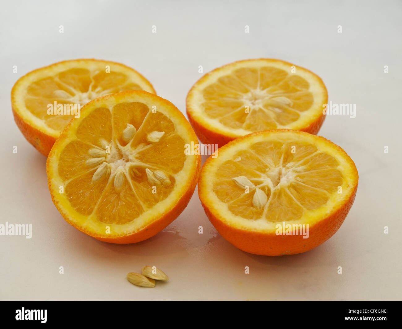 Two Seville oranges cut open to show pips and flesh on a light marble ...