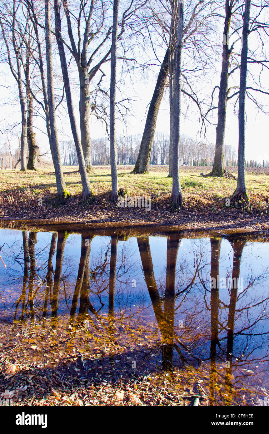 Refelction pond hi-res stock photography and images - Alamy