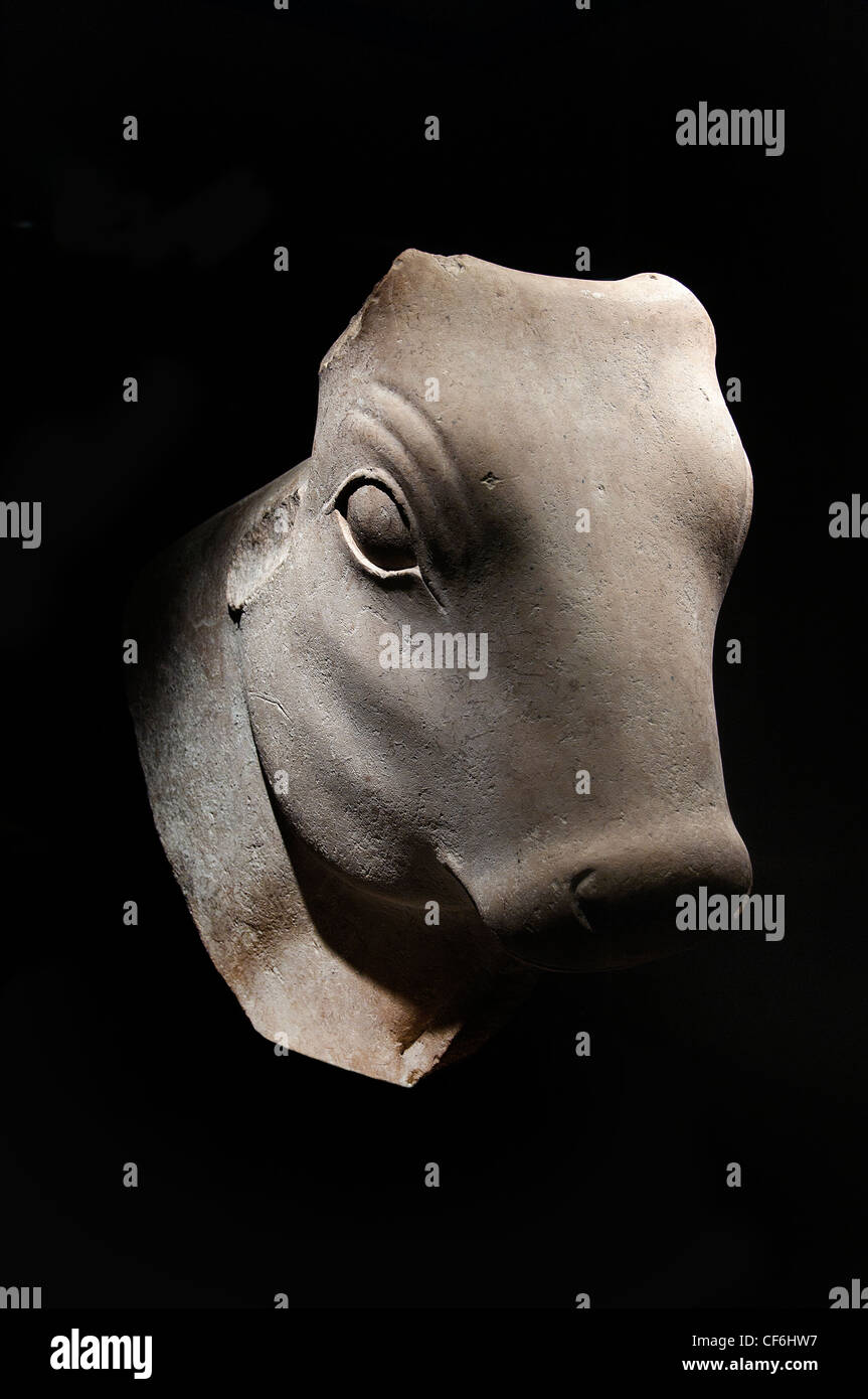 Head of the god Montu Montou Taurus 2000 - 1900 BC dynasty cent BC ...