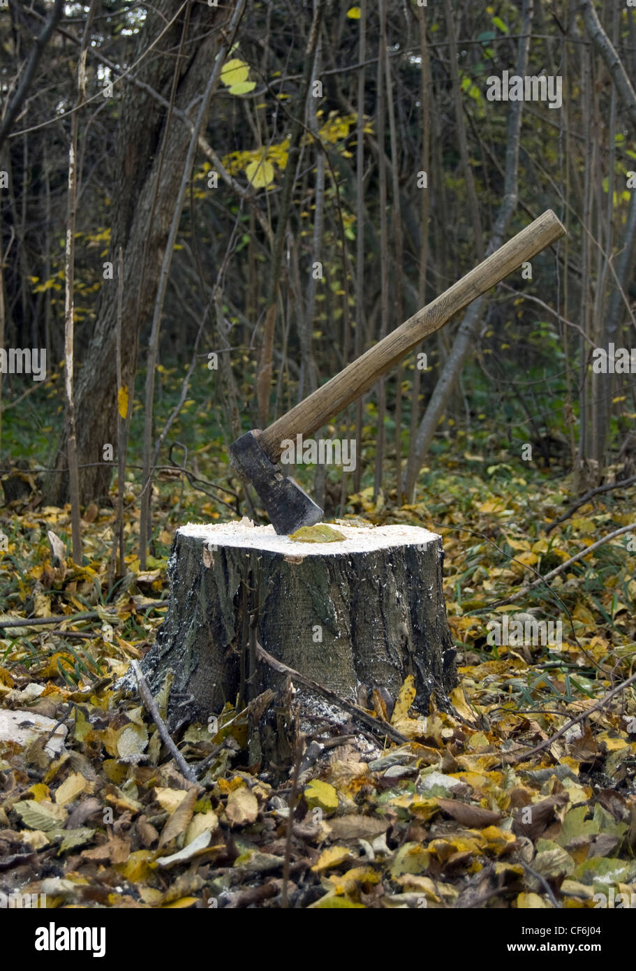 axe and stump close up Stock Photo - Alamy