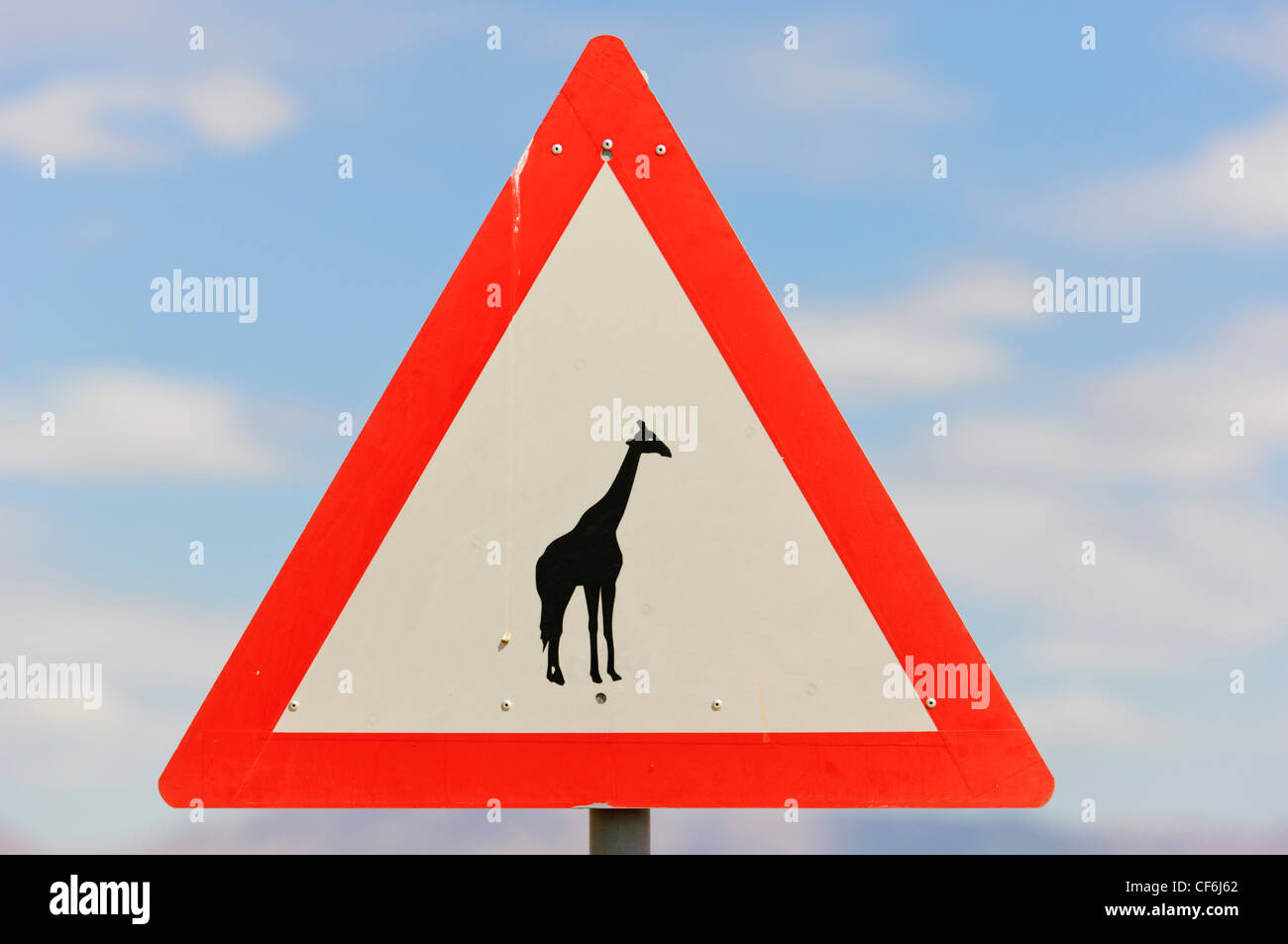 Giraffe crossing hi-res stock photography and images - Alamy