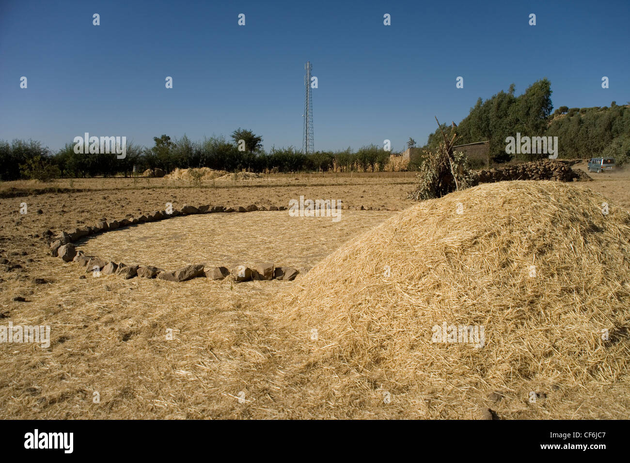 Threshing circle hi-res stock photography and images - Alamy