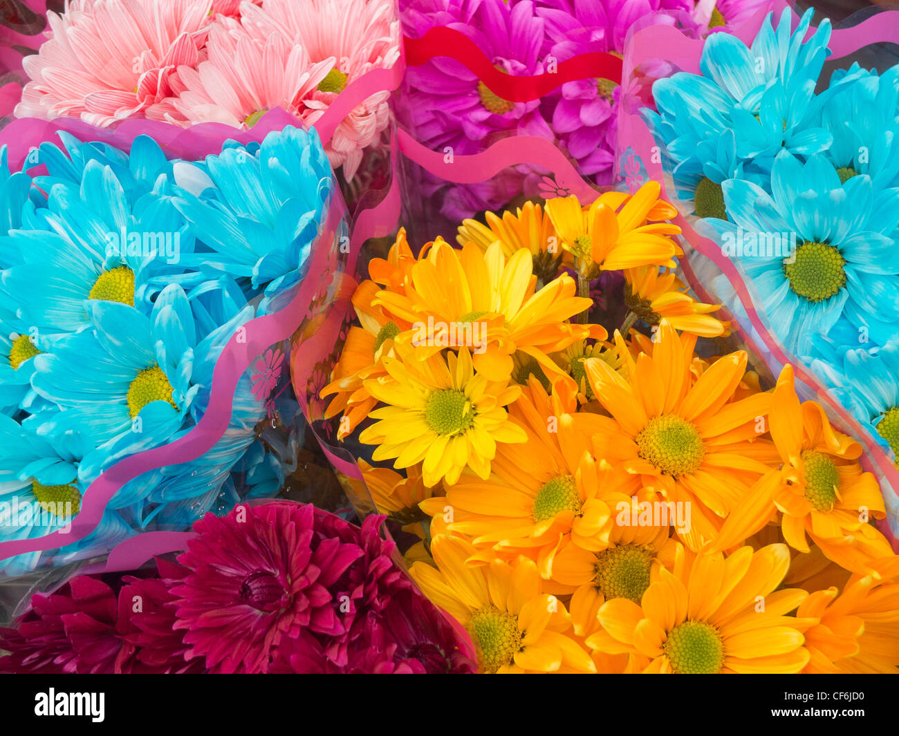 Florists daisies hi-res stock photography and images - Alamy