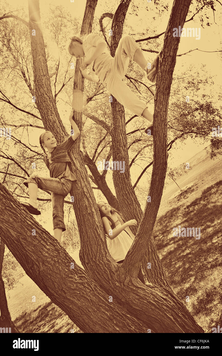 Kids Playing Up In A Tree; Edmonton Alberta Canada Stock Photo - Alamy