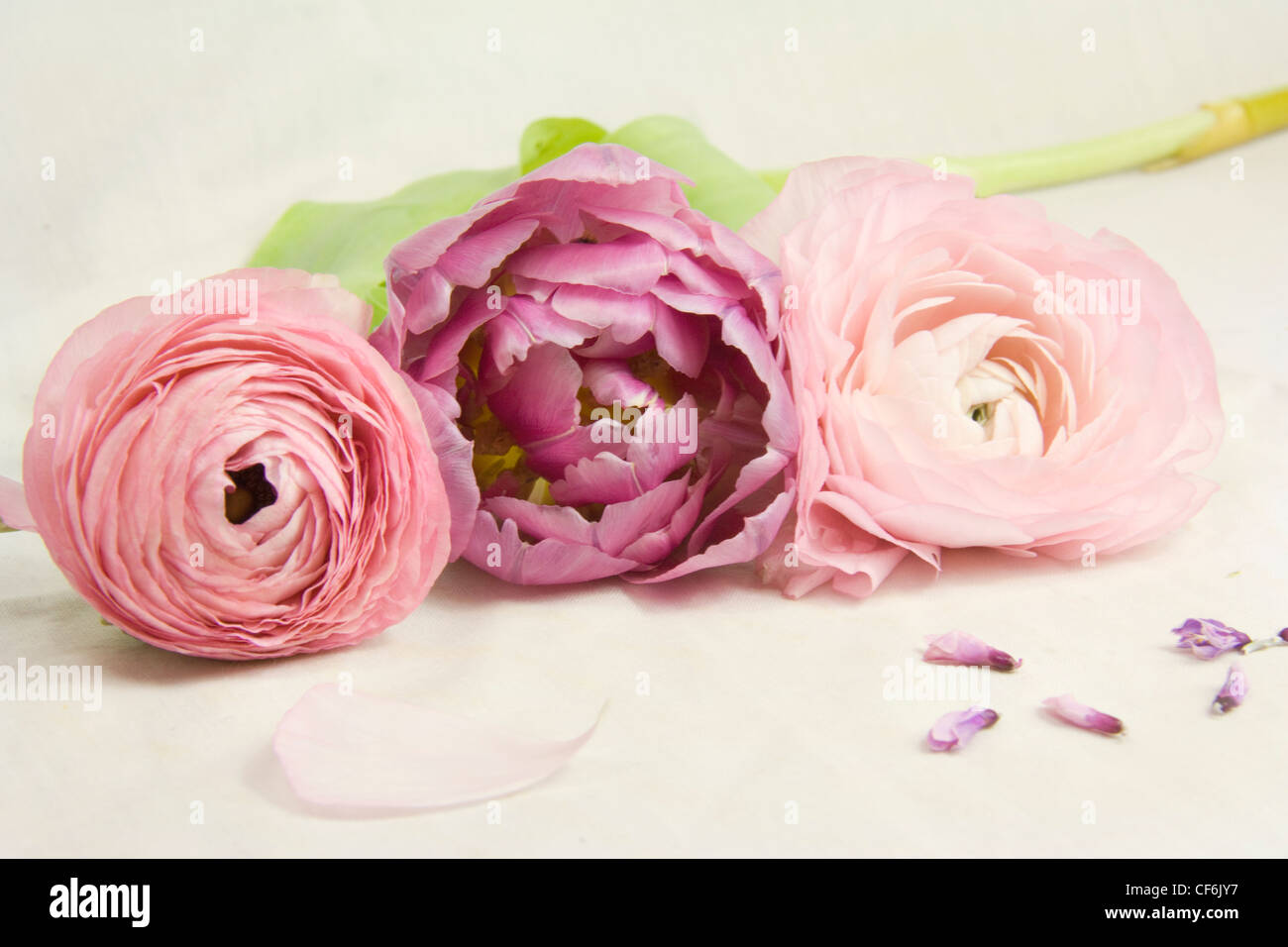Vintage flowers hi-res stock photography and images - Alamy