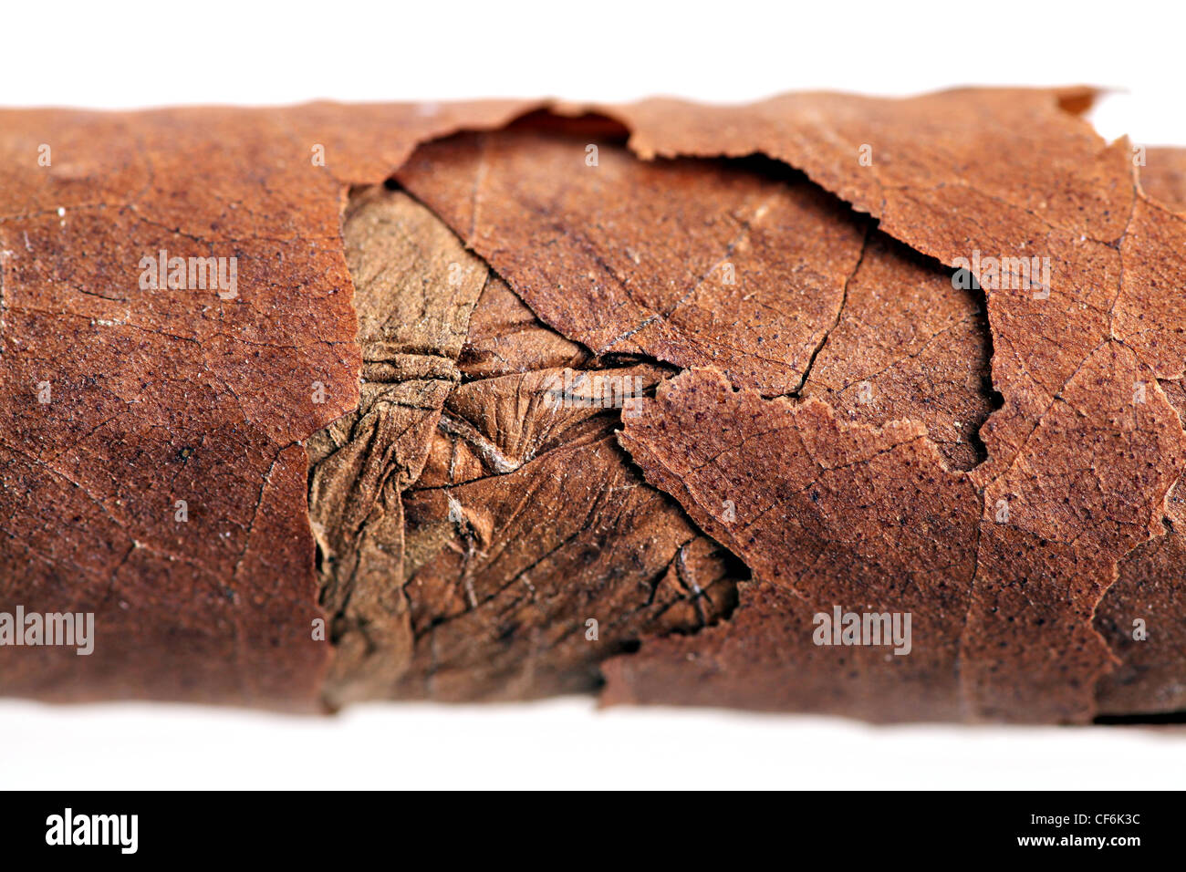 Havana cigar texture hi-res stock photography and images - Alamy