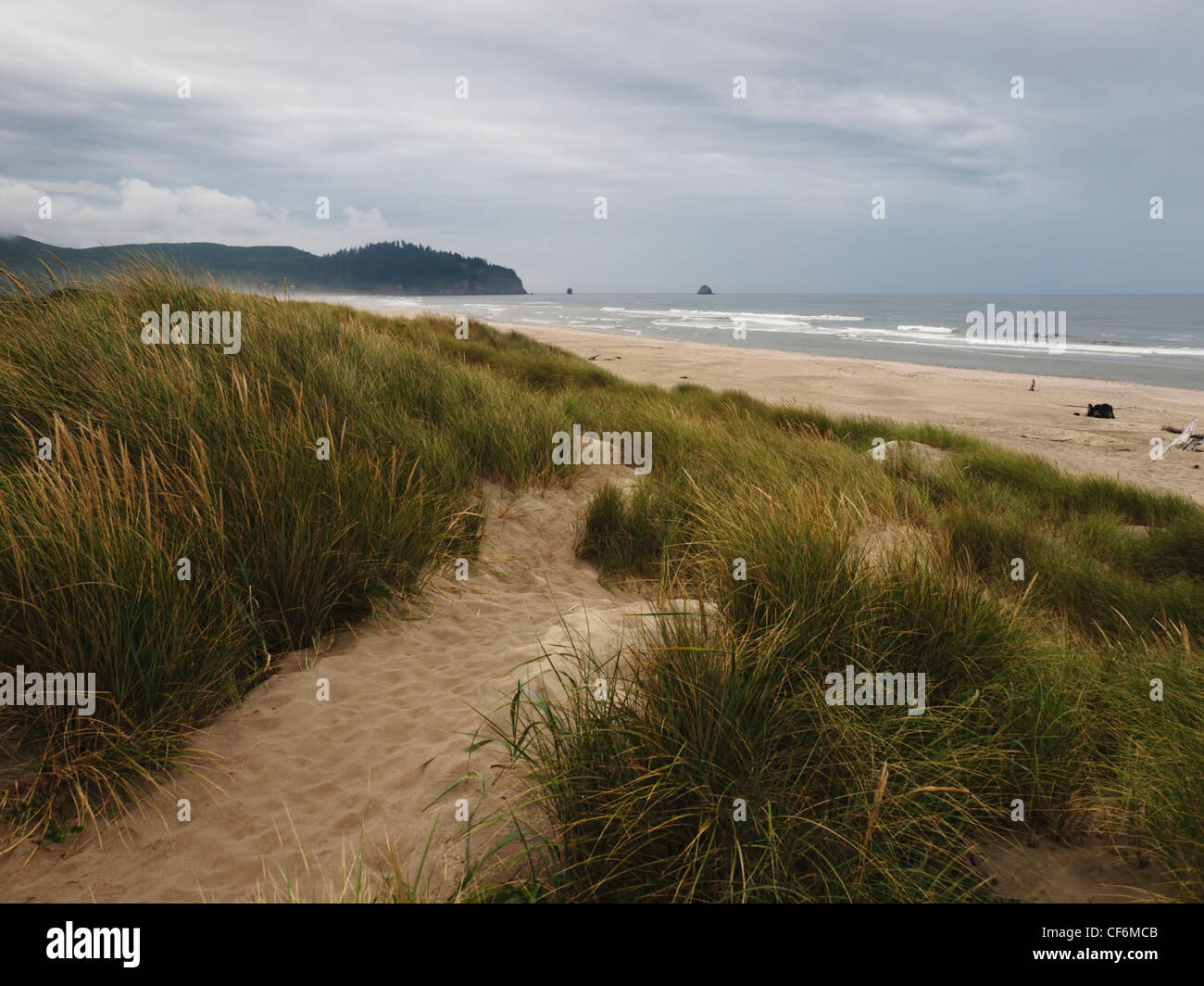 Bayocean Peninsula Stock Photos & Bayocean Peninsula Stock Images - Alamy