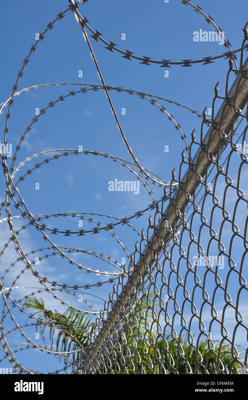 Barbed razor wire Stock Photo - Alamy