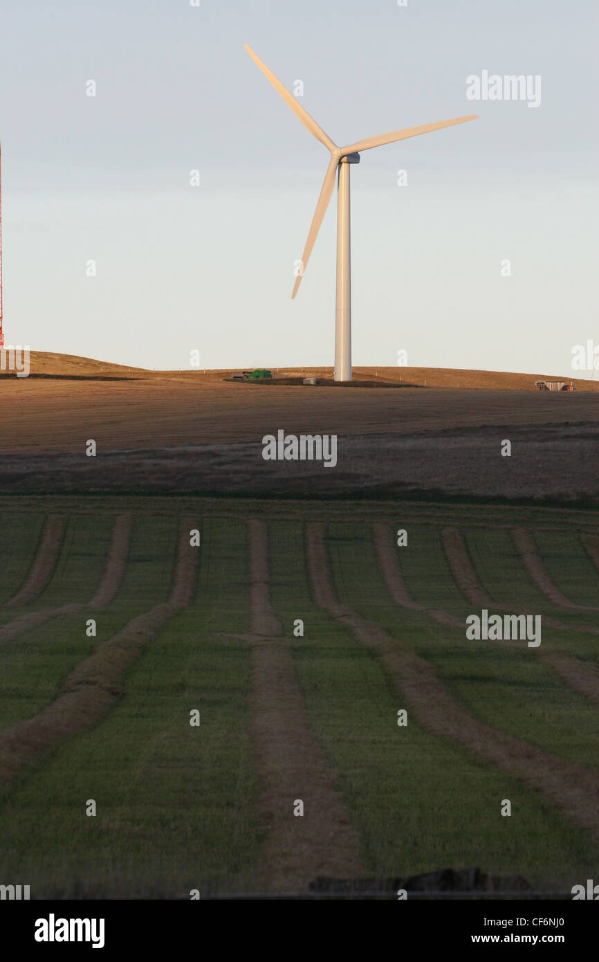 Wind turbine on a wind farm Stock Photo - Alamy