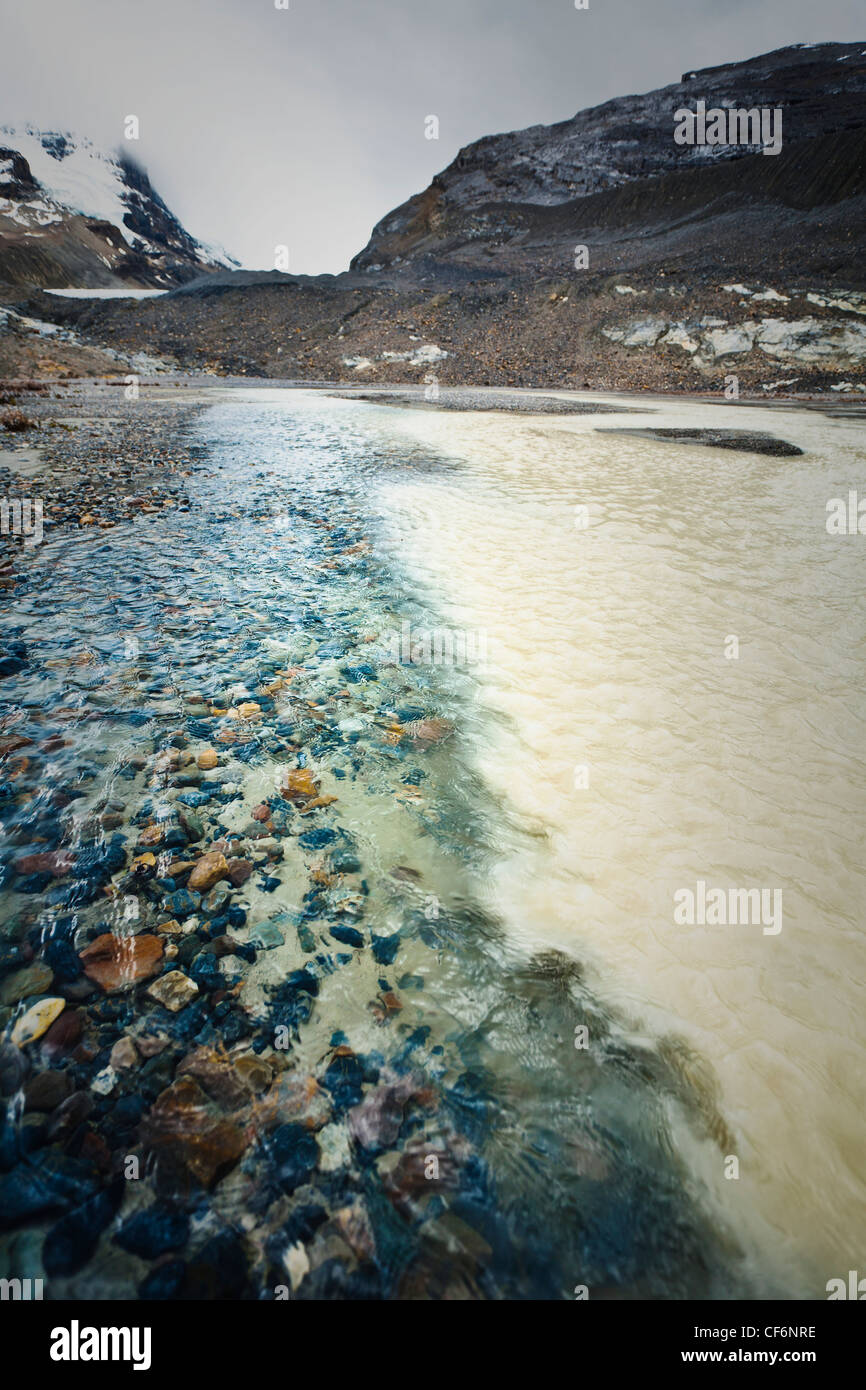 The Meeting Of Spring Water And Glacial Melt Water; Jasper Alberta ...