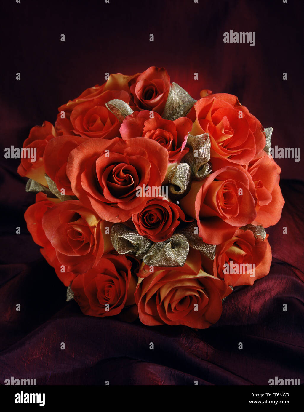 Dramatic opening flower hi-res stock photography and images - Alamy