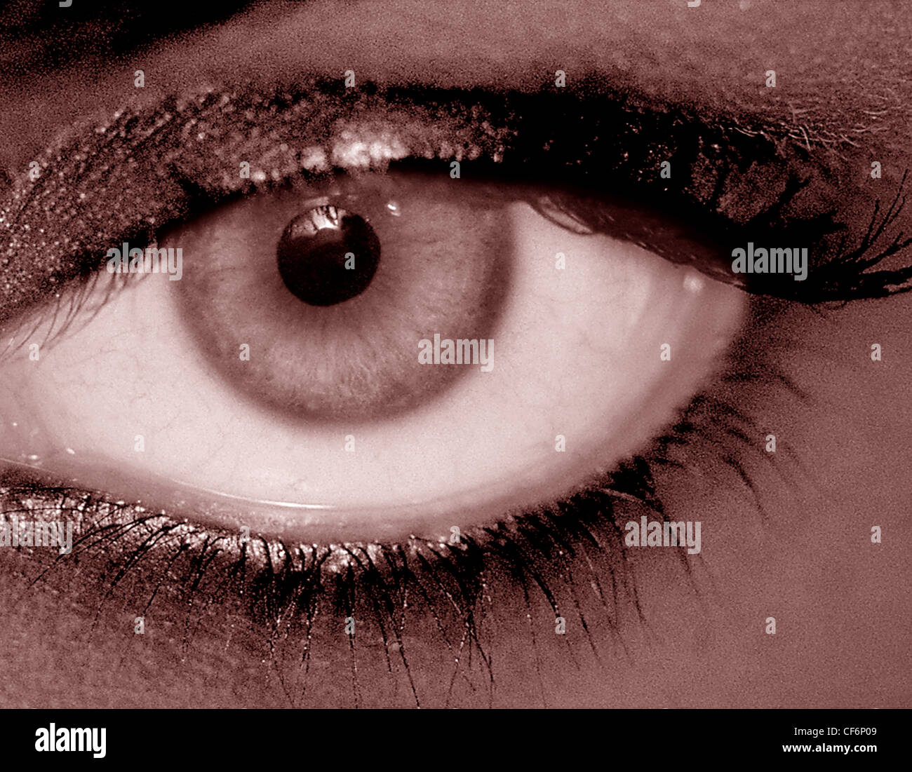 Eye Female Very Close Up Dramatic Toned In Sepia Colors Heavy Eye