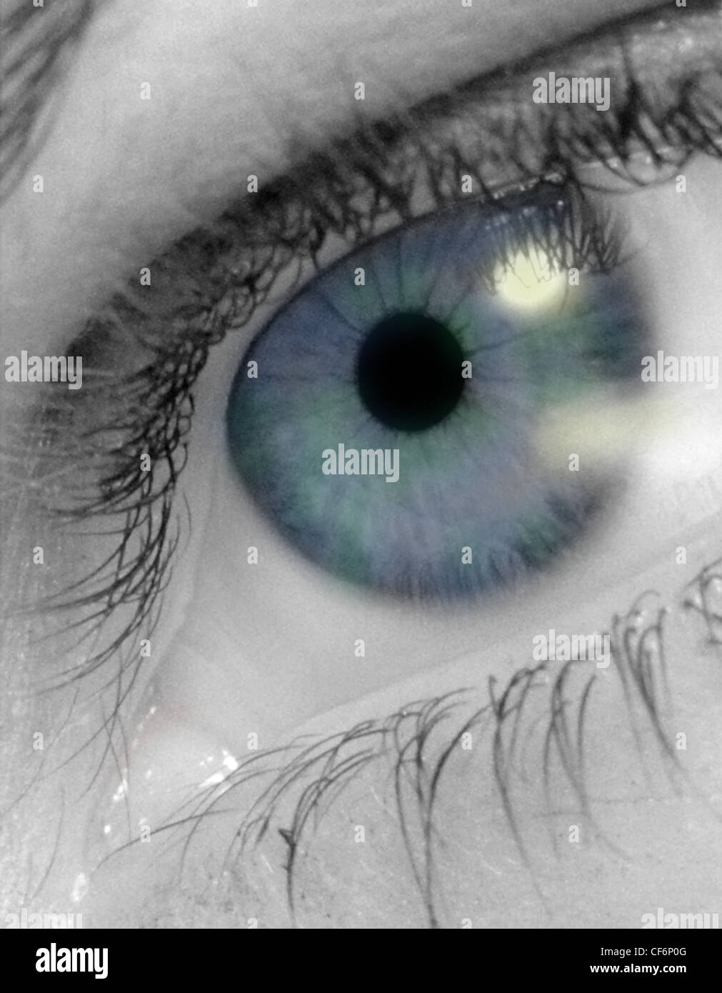 Eye, Female, close-up, dramatic, toned in gray scale, pupil is ...