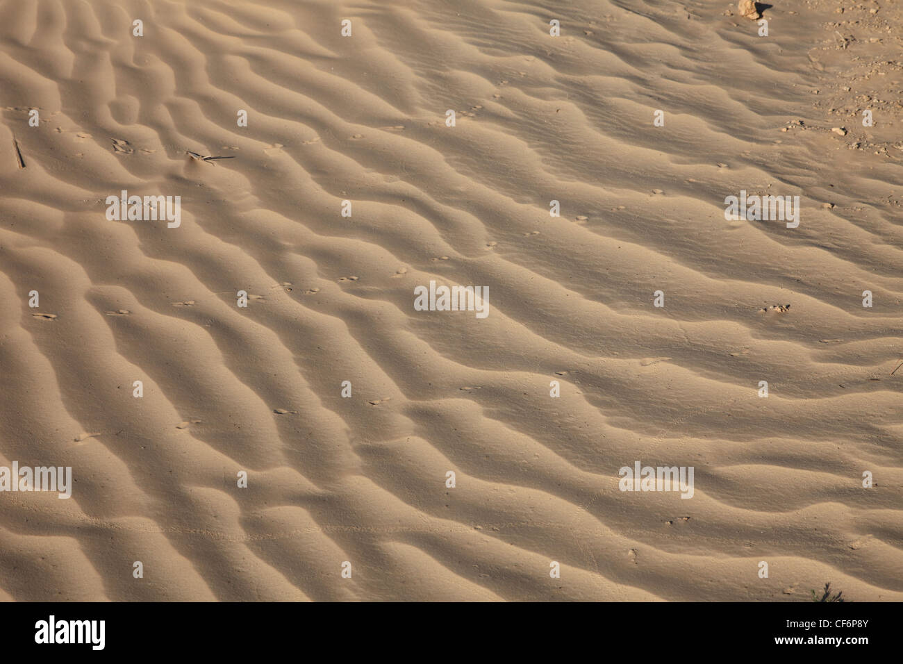 Wind textures on sand in Sahara Stock Photo - Alamy