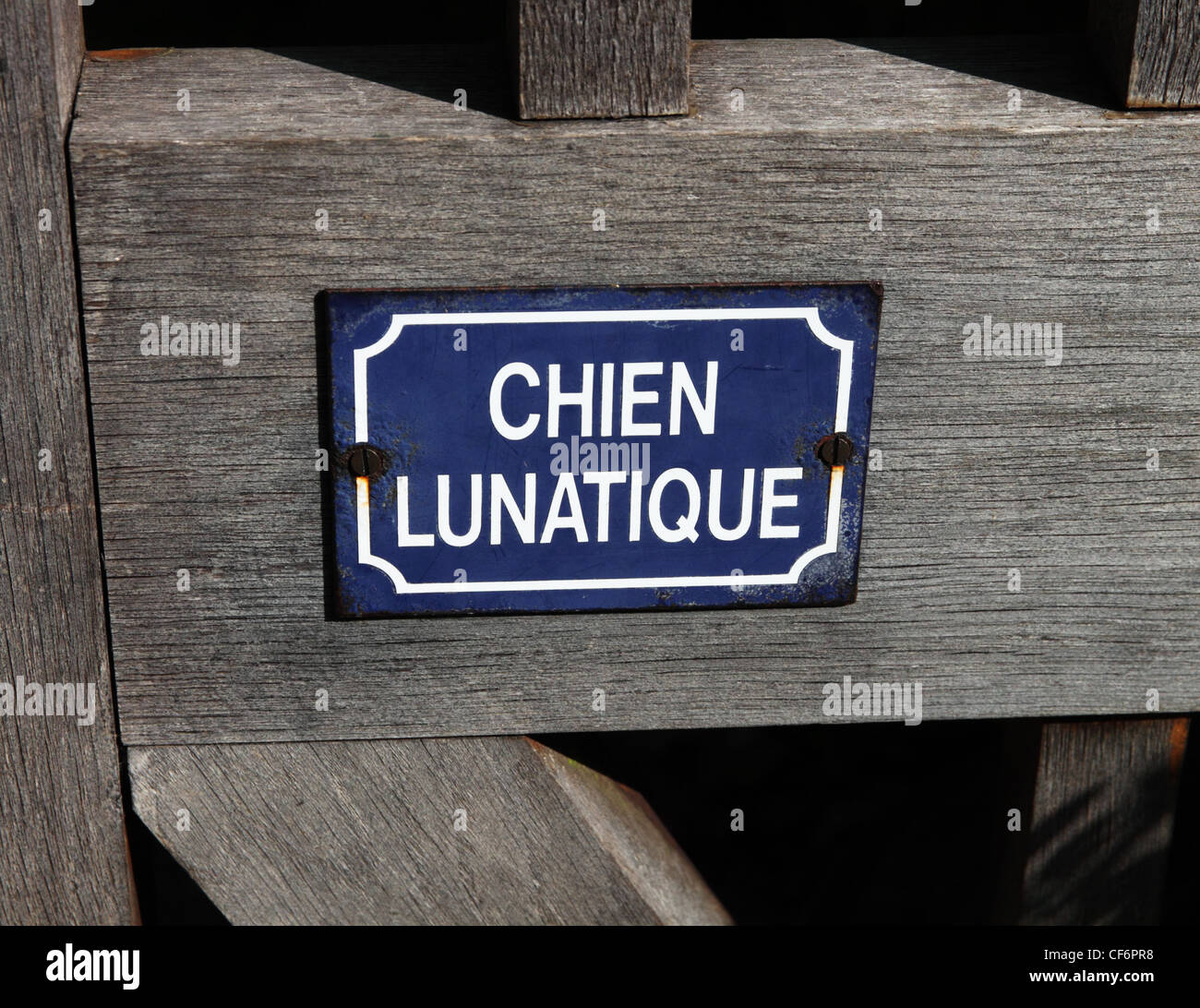 "Mad dog" sign Stock Photo - Alamy