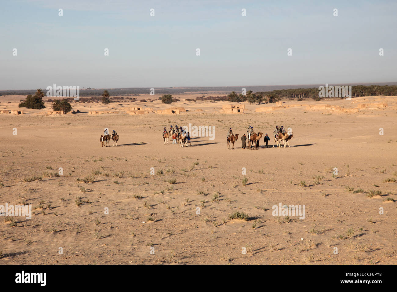 Camel caravan arabian hi-res stock photography and images - Alamy