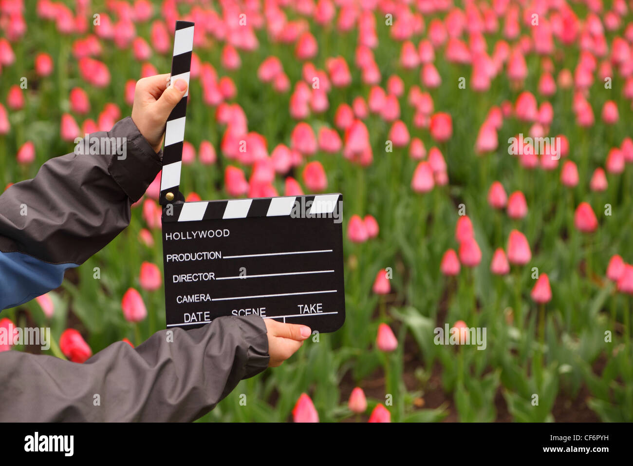 Black film clapper board pink hi-res stock photography and images - Alamy