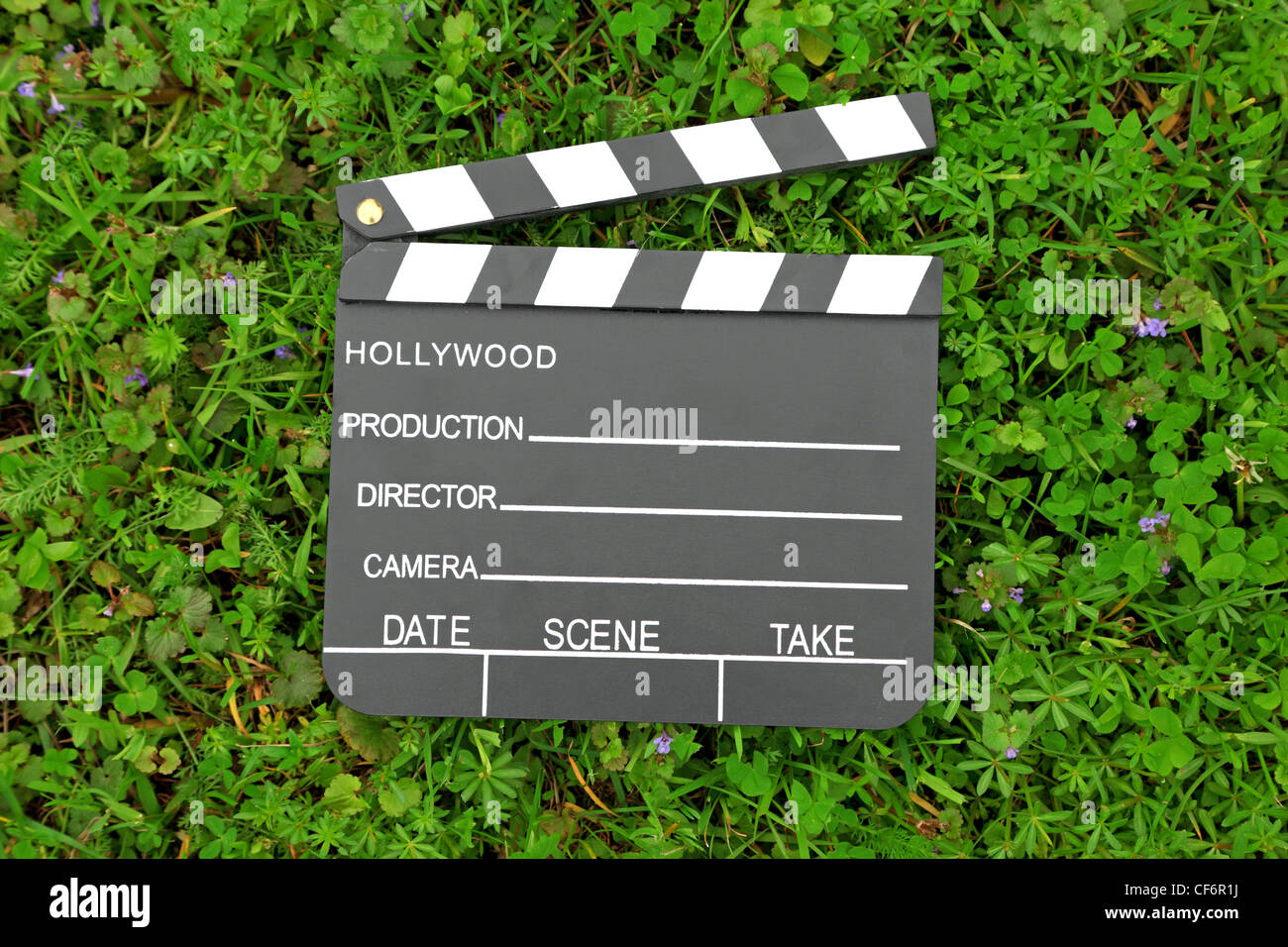 Cinema clapper board on green grass among flowering small purple ...
