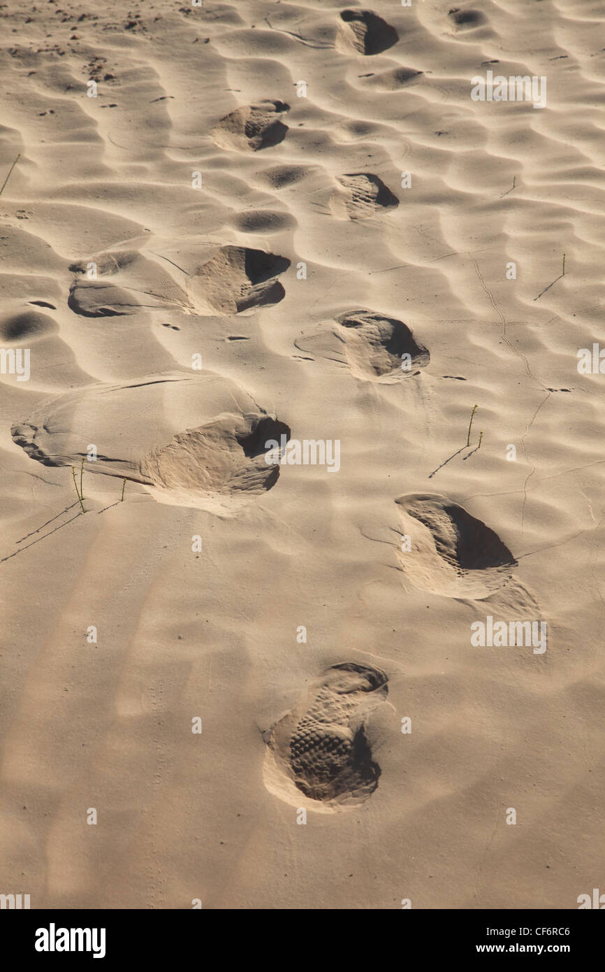 Human trace of a foot on yellow sand Stock Photo - Alamy