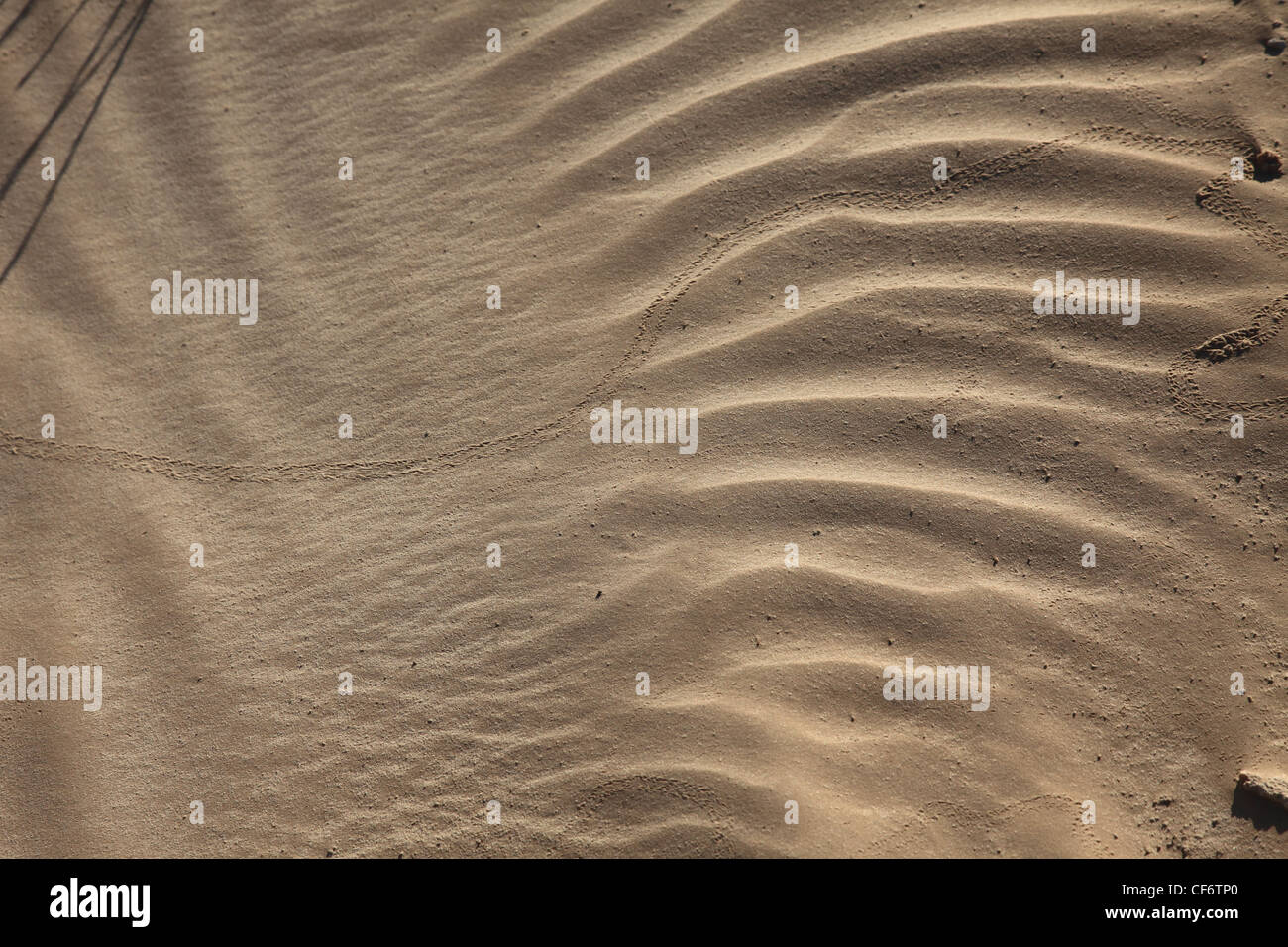 Wind textures on sand in Sahara Stock Photo - Alamy