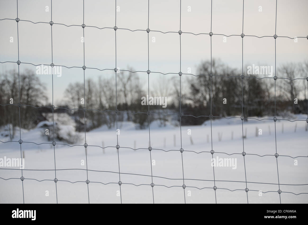 Net in front and a winter landscape Stock Photo - Alamy