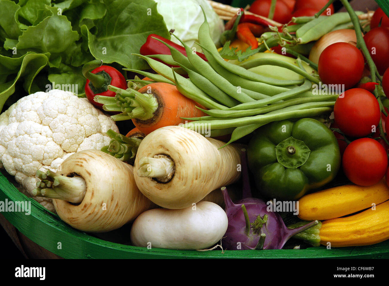 Natural selection hi-res stock photography and images - Alamy