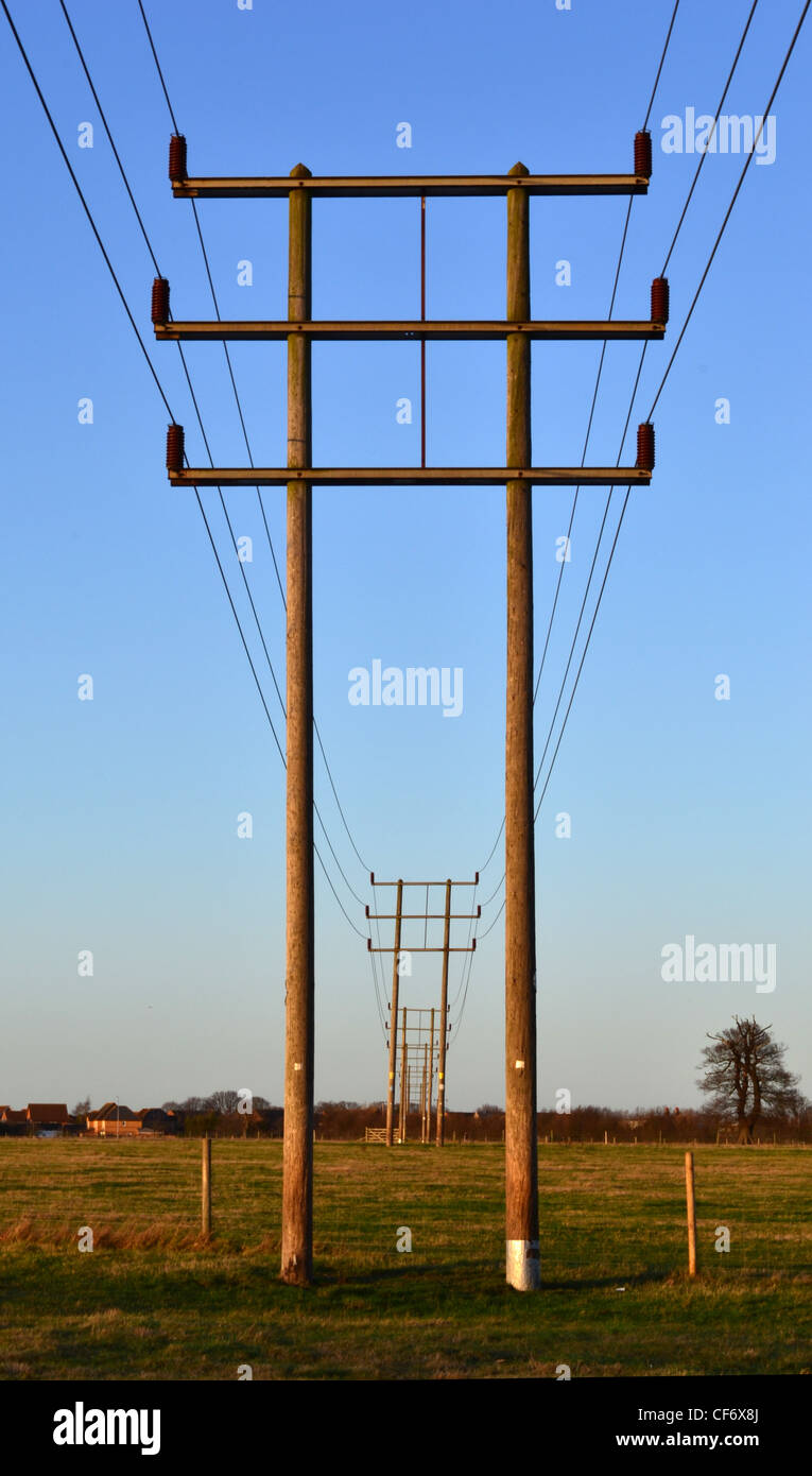 A row of Telegraph posts in the Colchester countryside when the sun is ...
