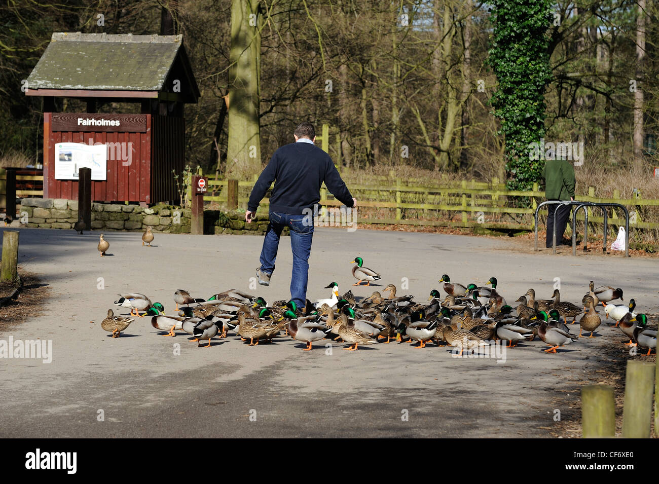 Fairholmes visitors centre hi-res stock photography and images - Alamy