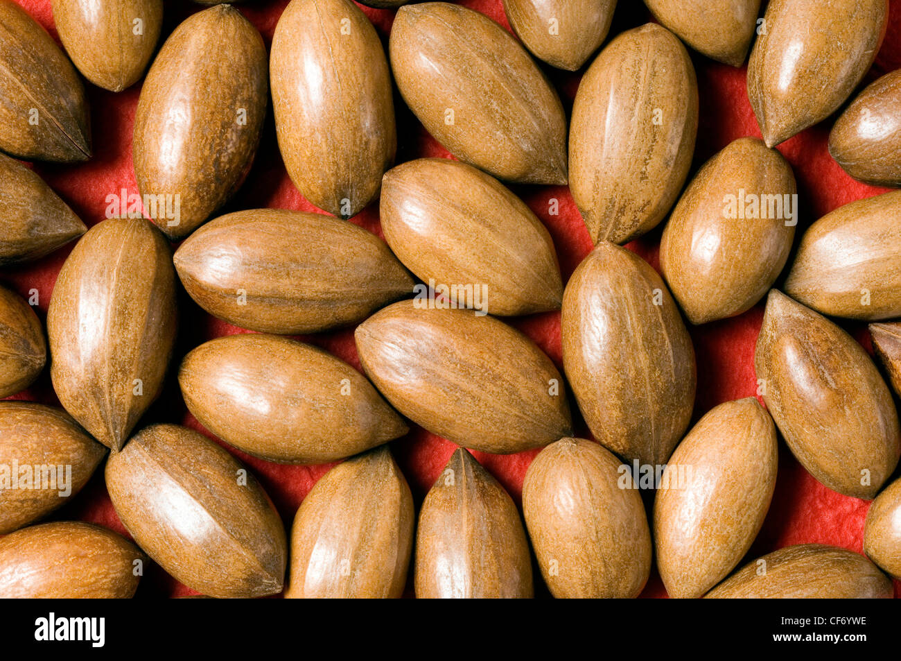 Close up of whole pecan nuts in their shells on a red surface Stock ...