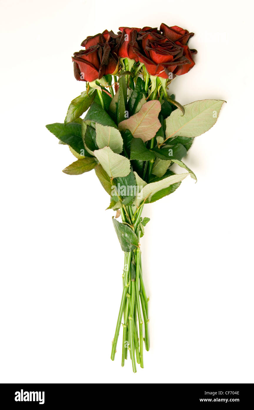 WD1183-05 A small bunch of red roses Stock Photo - Alamy