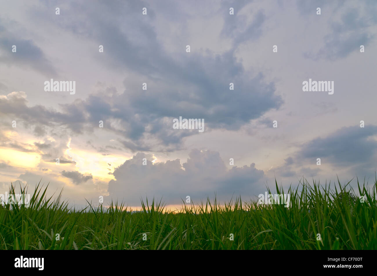 The sun sets over a grass filled field in the countryside of Pak Chong ...
