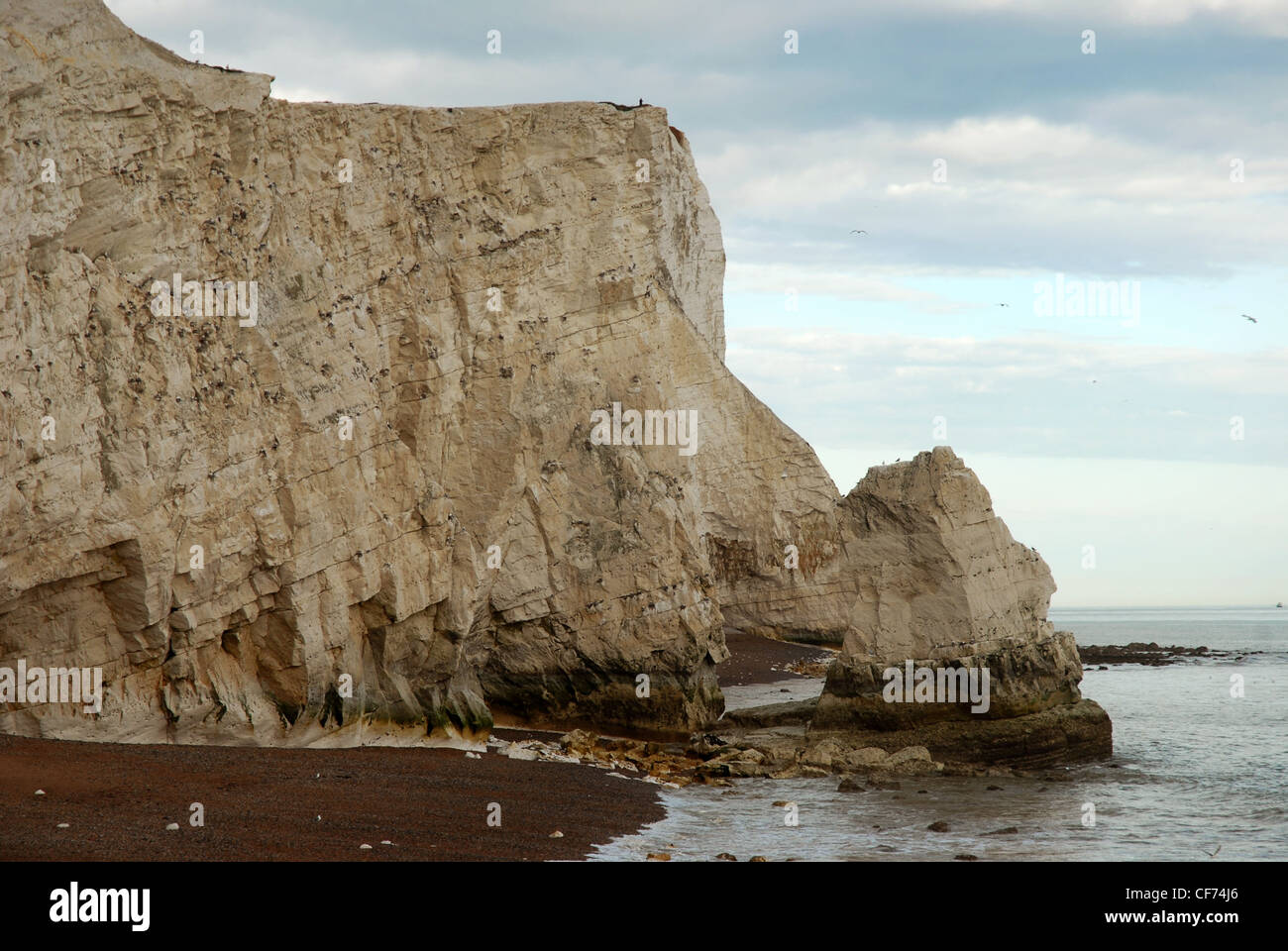 Seaford Beach Head Stock Photo - Alamy