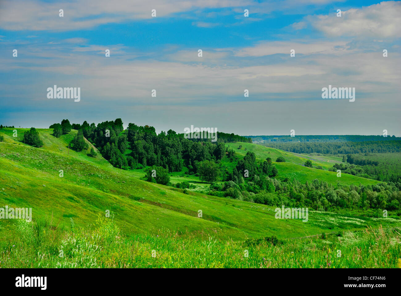 field of summer valley with green grass Stock Photo - Alamy