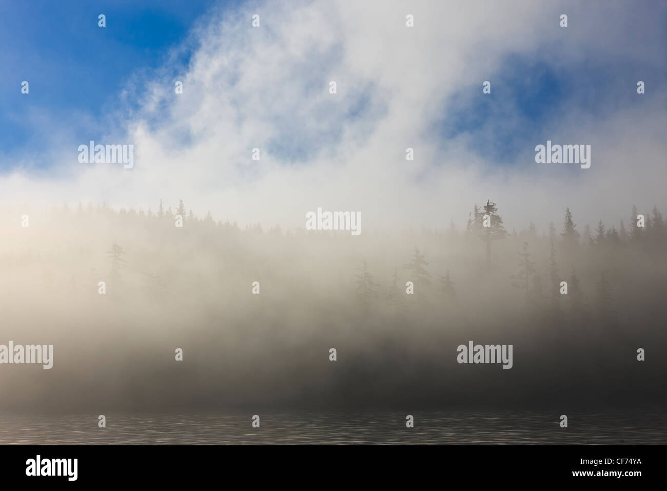 Clouds and fog along the Great Bear Rainforest coastline, British ...