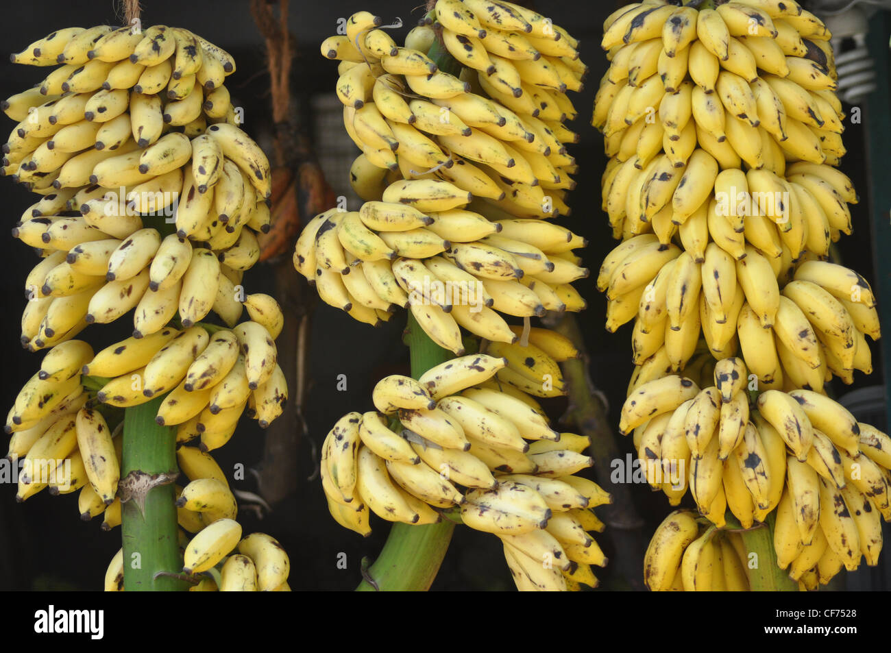 Bunches of ripe plantains for sale Stock Photo - Alamy