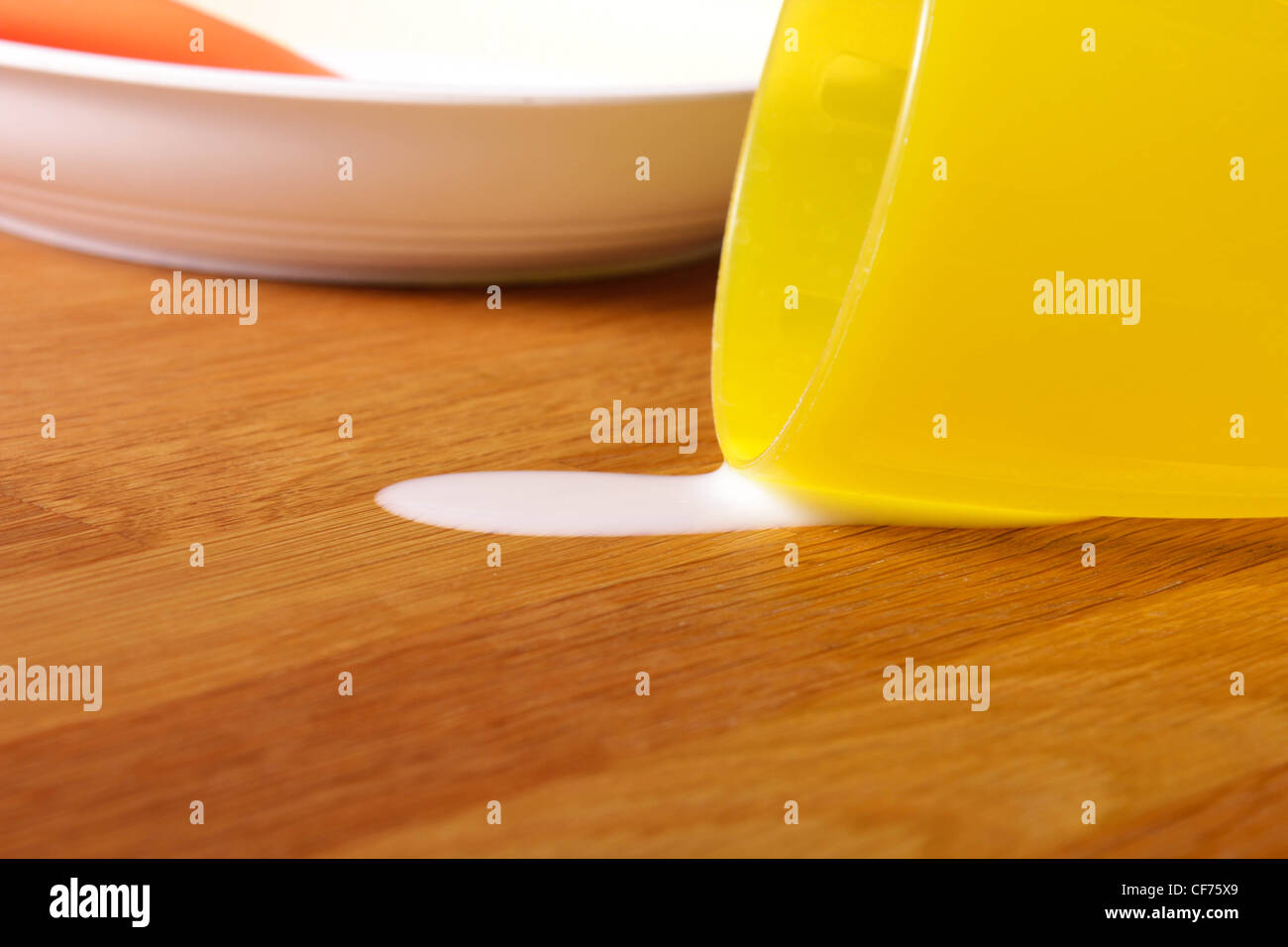 Learn to milk hi-res stock photography and images - Alamy