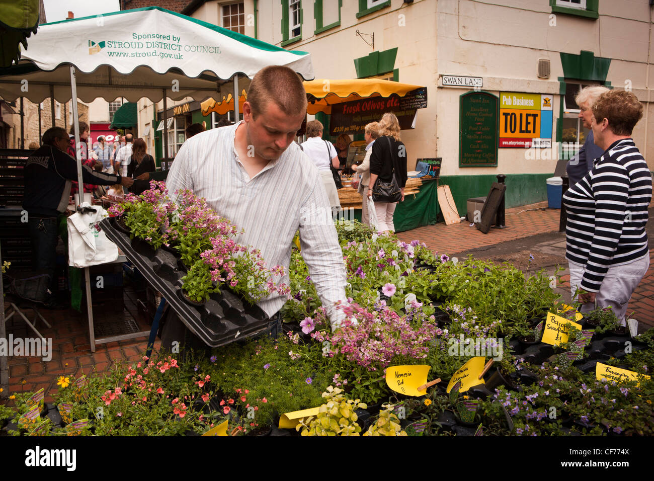 UK, Gloucestershire, Stroud, Swan Lane, farmer’s market flower stall ...