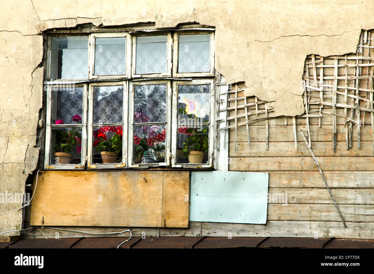 Old crumbling building collapsing wall and windows. Flowers inside on ...