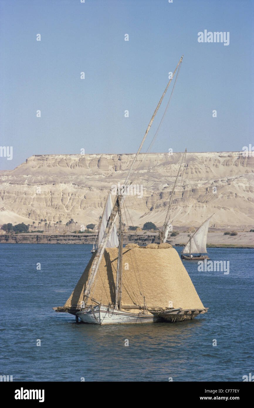 Traditional Nile working felucca boat transporting grain across the ...