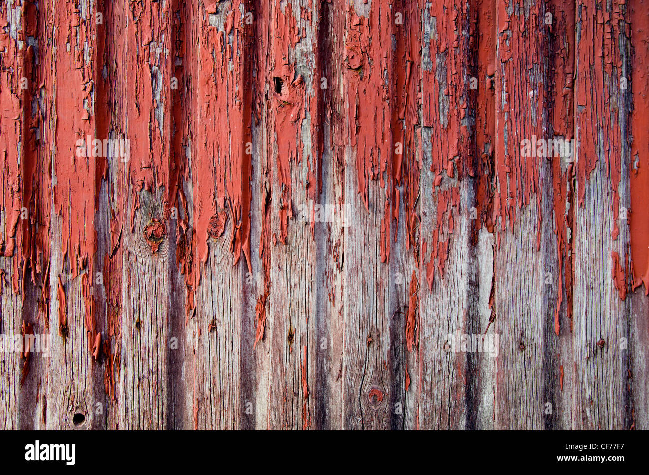 Village House Backdrop