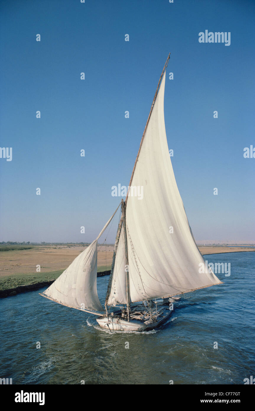 Traditional large working lateen sailed felucca River Nile Egypt North ...