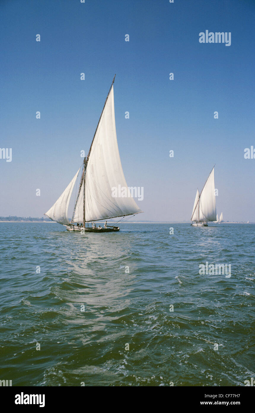 Large lateen sails hi-res stock photography and images - Alamy