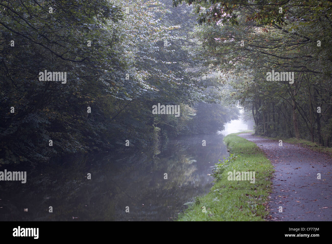 Misty pathway hi-res stock photography and images - Alamy