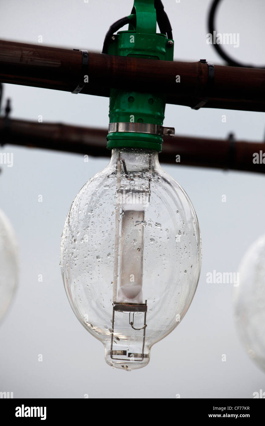 Large electric light bulb in Busan Harbour in Busan, South Korea Stock ...